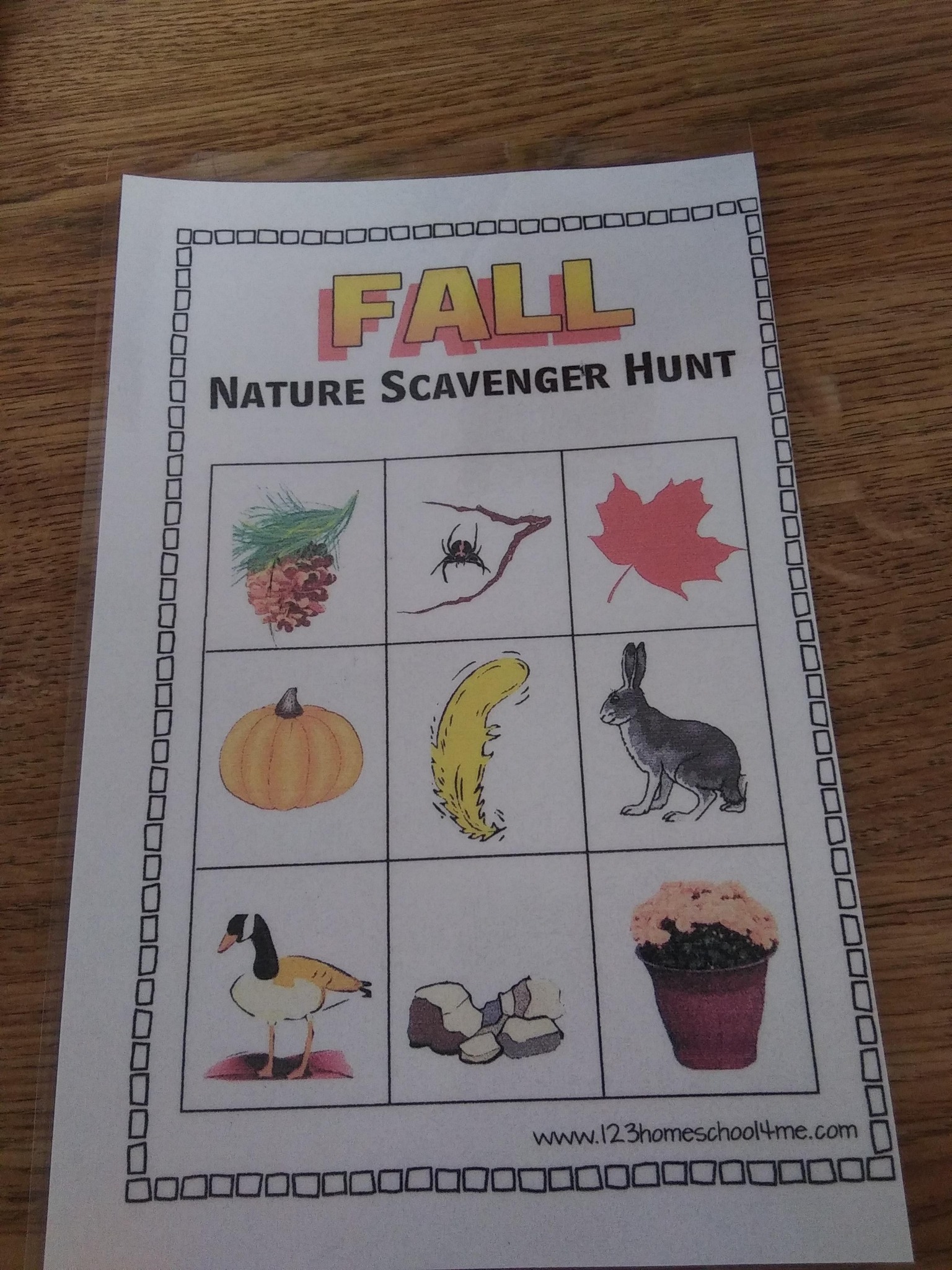 Stop in and do the new Scavenger Hunt | Theresa Public Library
