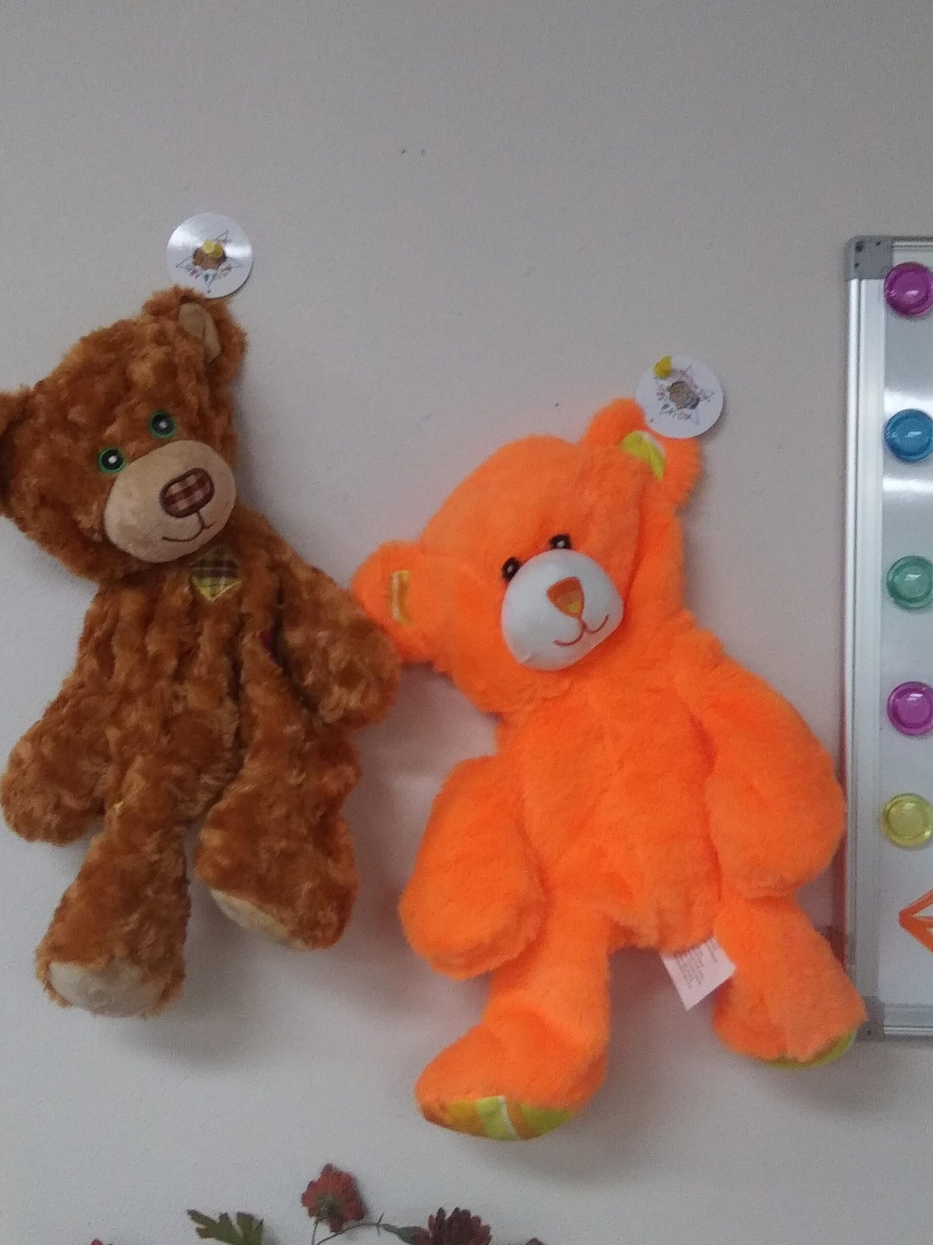 Stuff a Bear at Theresa Public Library | Theresa Public Library